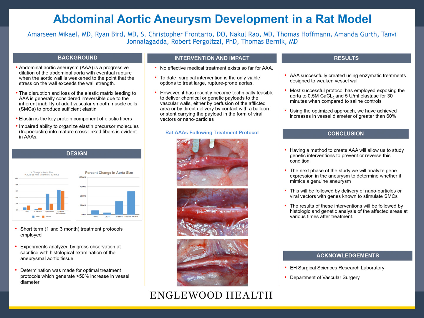 Abdominal Aortic Aneurysm Development in a Rat Model | Englewood Health